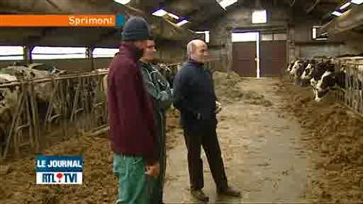 Crise du lait: où en sont les producteurs ? | RTL Info Crise du lait: où en sont les producteurs ? | RTL Info