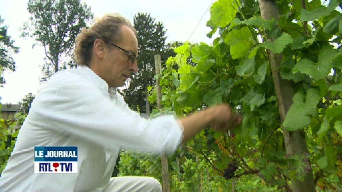 Le chocolatier Jean Galler se lance dans la viticulture. | RTL Info
