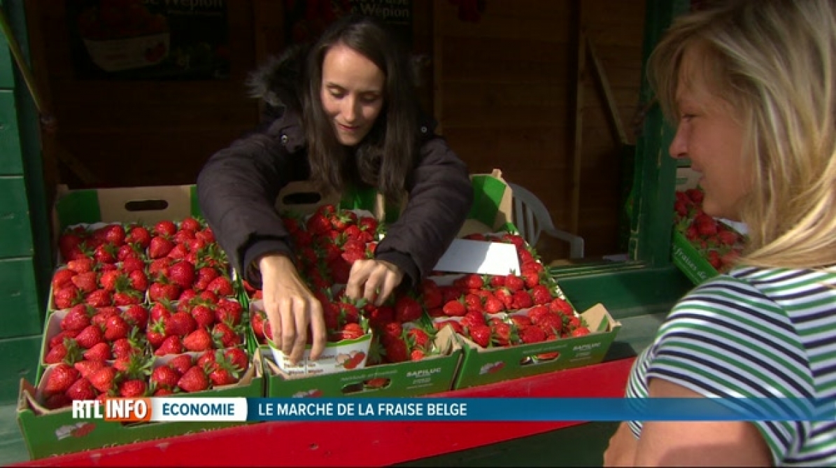 La marché de la fraise belge se porte plutôt bien | RTL Info
