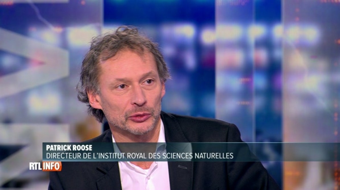 Patrick Roose fait le point sur l'état de la Mer du Nord | RTL Info