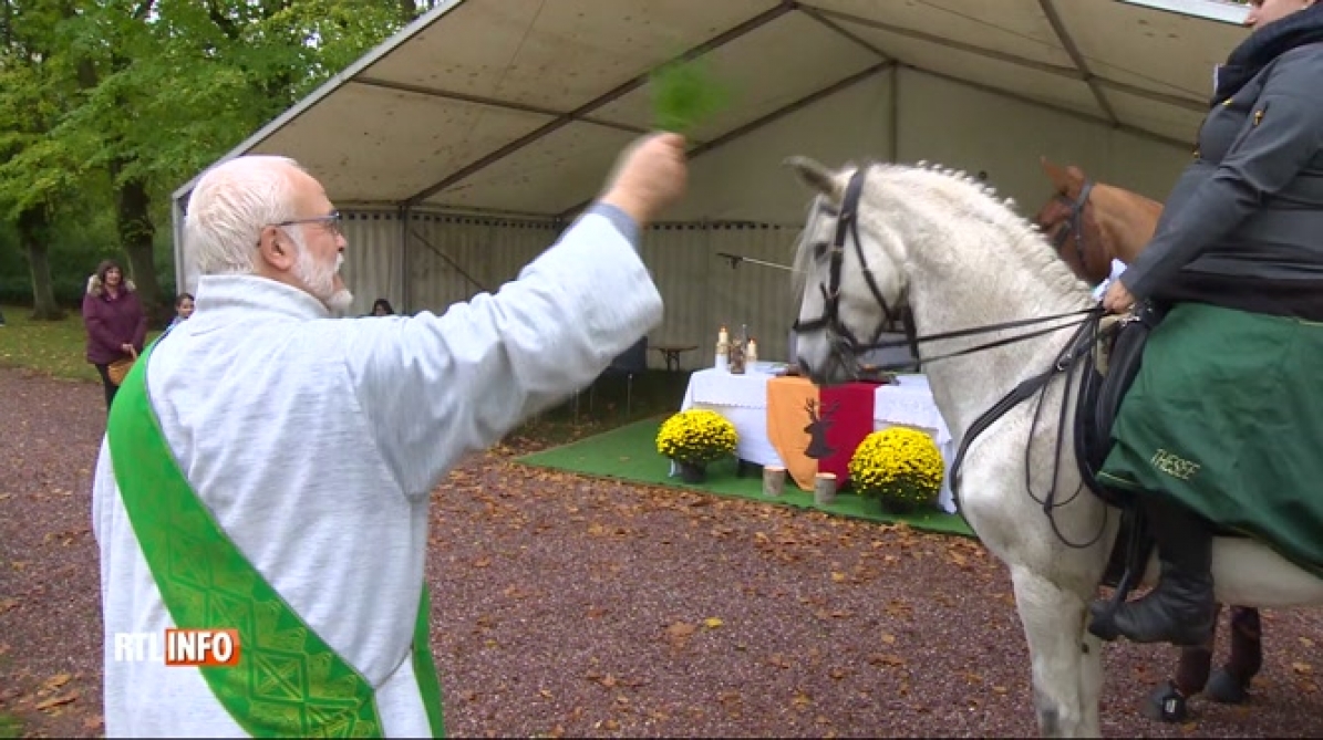 Traditionnelles bénédictions de la Saint-Hubert à Ham-sur-Heure | RTL Info