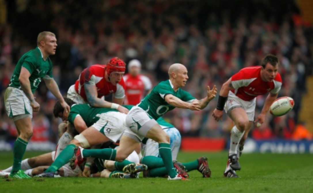 Rugby: l'Irlandais Peter Stringer prend sa retraite | RTL Info