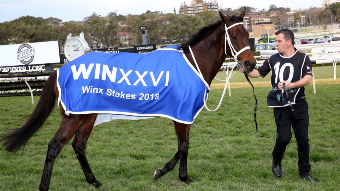 "L'Australien de l'année" est un... cheval de courses! | RTL Info