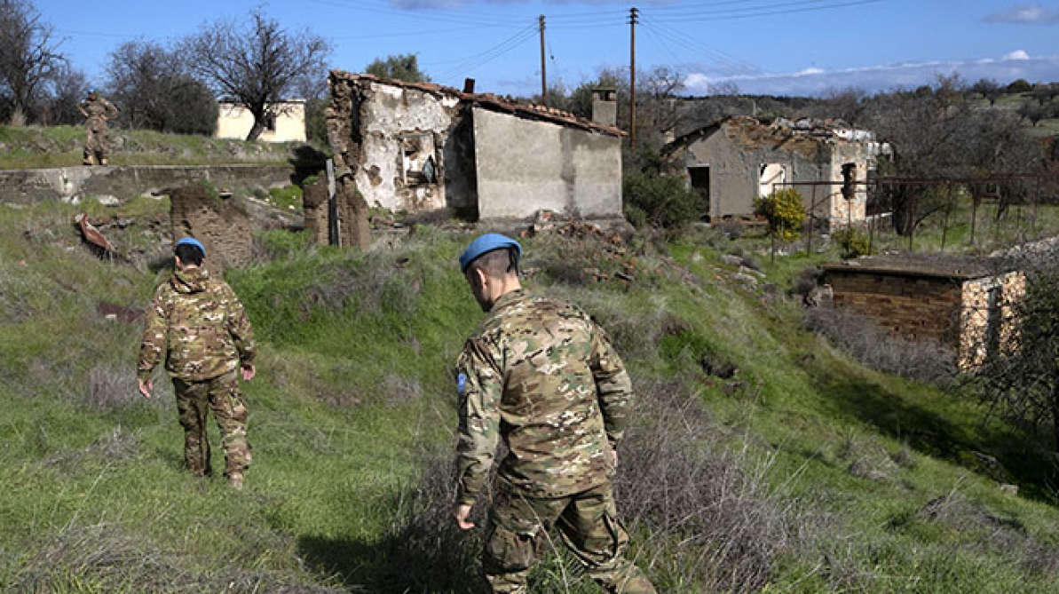 Sans humains depuis 50 ans, la biodiversité explose dans le no man's ...