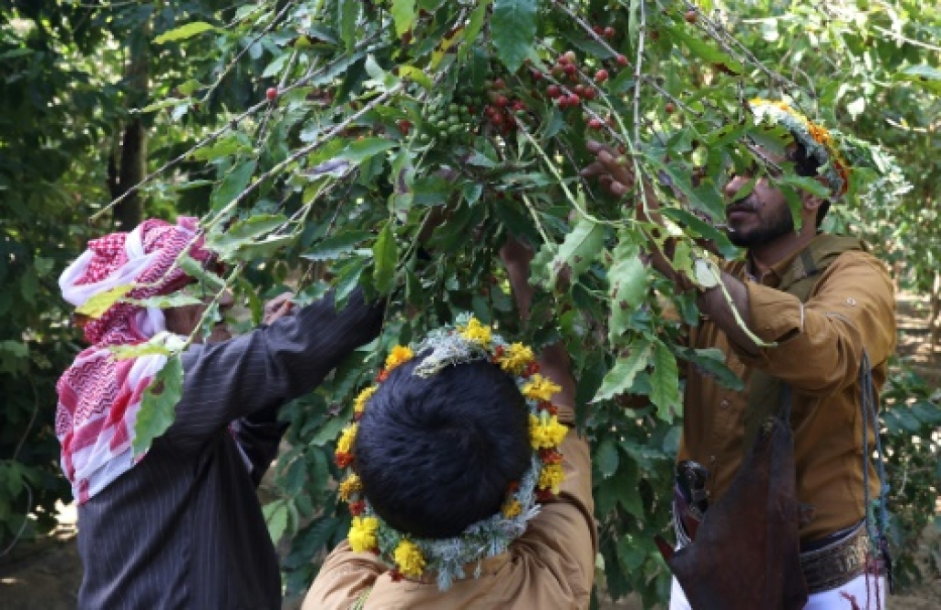 "Gahwa", le café saoudien en quête de reconnaissance | RTL Info