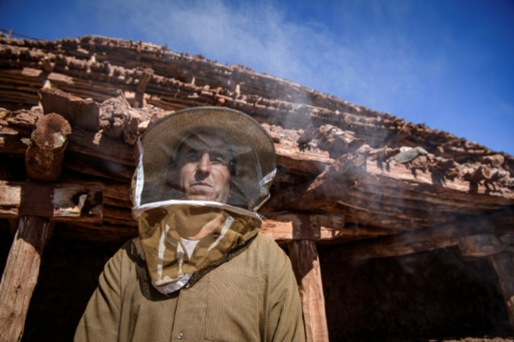 Au Maroc, les abeilles désertent le plus ancien rucher au monde | RTL Info