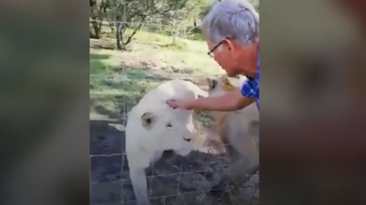 Humusation: une technique d'enterrement révolutionnaire ? | RTL Info