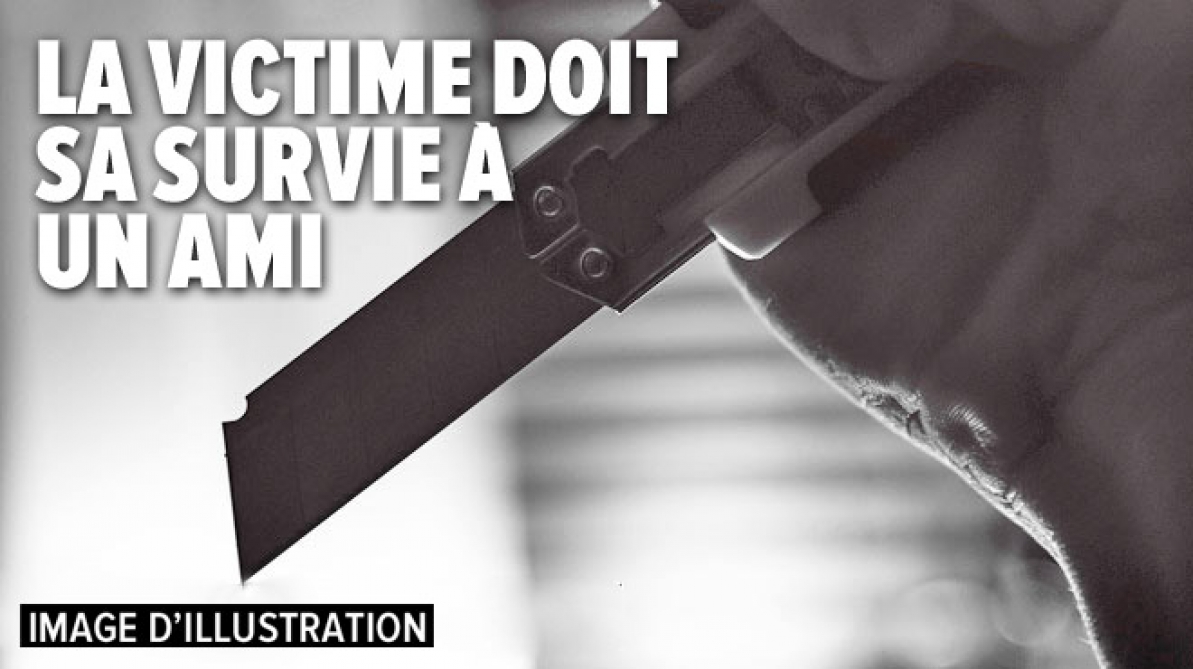 Avec une dizaine d'acolytes, il avait lâchement lacéré un homme à Namur ...