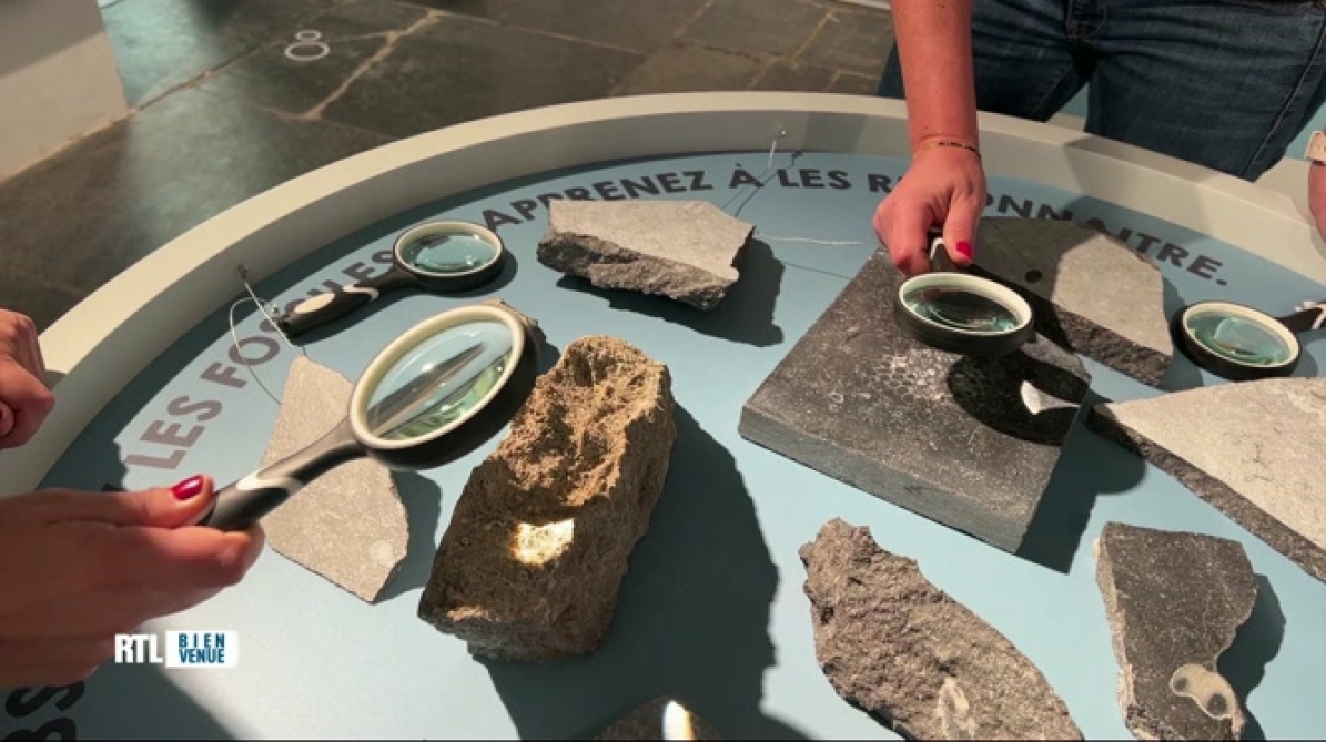 Un nouvel espace muséal à découvrir au musée de la Pierre de Sprimont ...