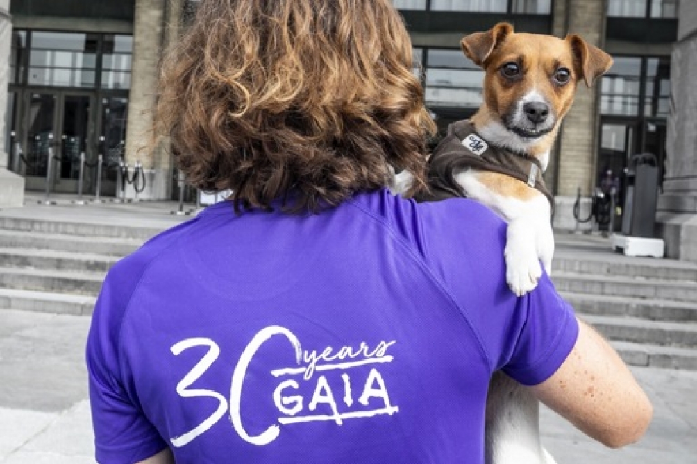 Gaia fête ses 30 ans à Bruxelles | RTL Info