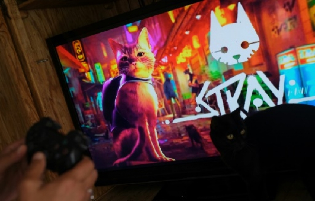 "Stray", jeu vidéo français préféré des chats, sacré meilleur titre ...
