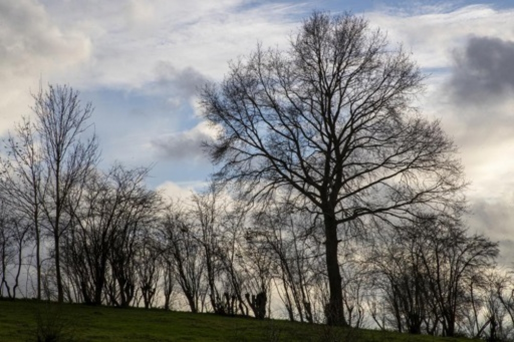 Un temps gris et pluvieux mais assez doux | RTL Info