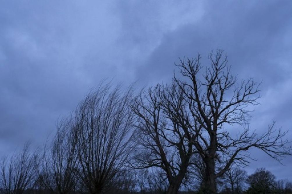 Un temps humide et venteux pour finir le mois de mars | RTL Info