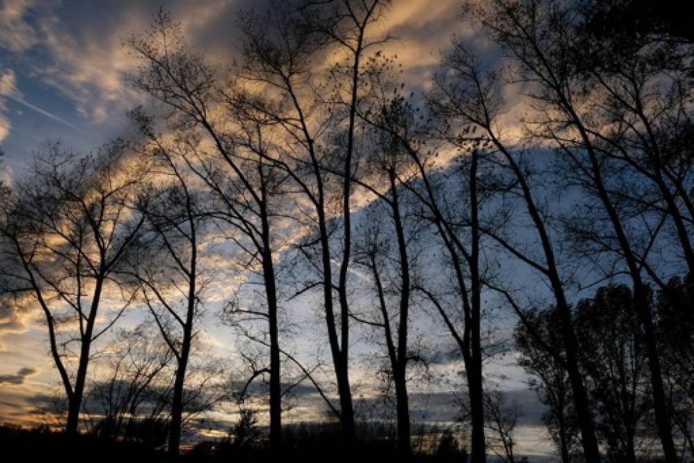 Encore quelques belles éclaircies sous des températures douces | RTL Info