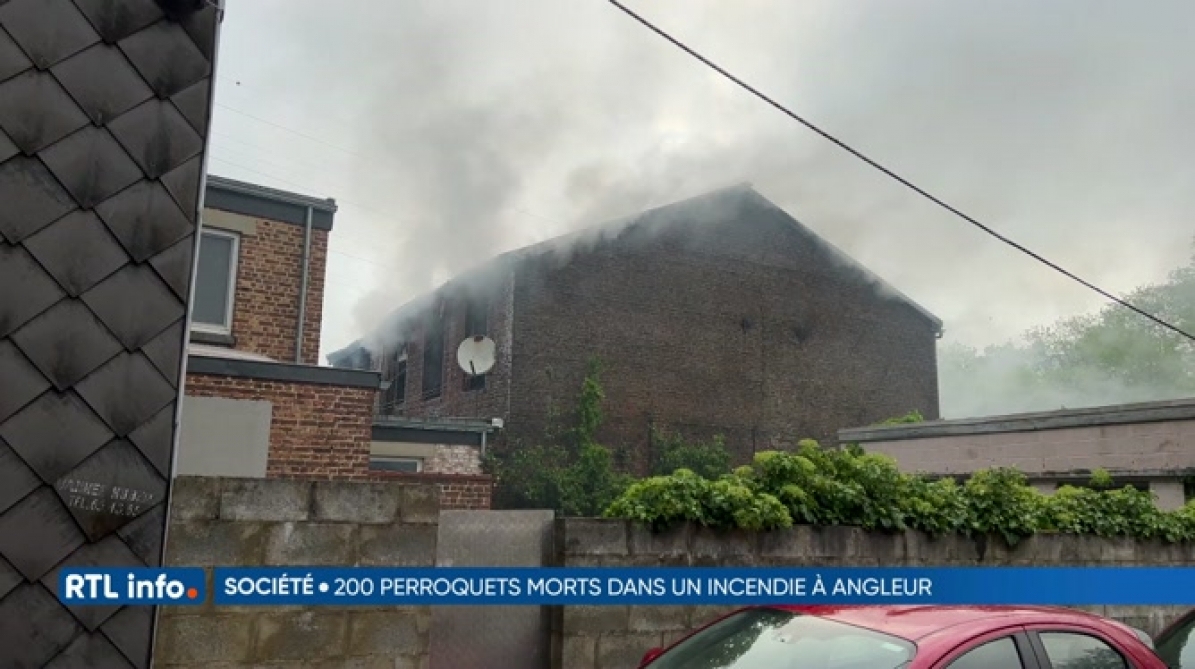 Incendie d'un hangar à Angleur : le propriétaire suspecté de trafic d ...