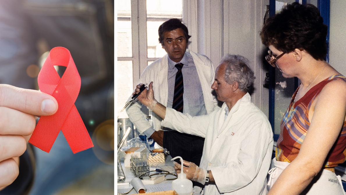 Il y a 40 ans, la découverte du virus du sida: en 2023, le monde est ...
