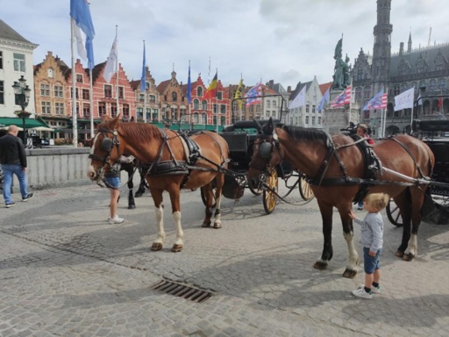 Les hébergements touristiques retrouvent leur niveau d'avant Covid ...