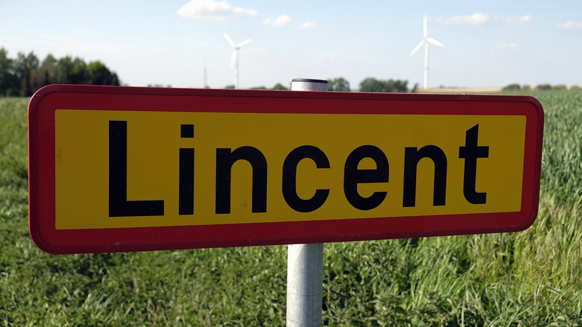 200 porcs euthanasiés après un accident de camion à Lincent | RTL Info