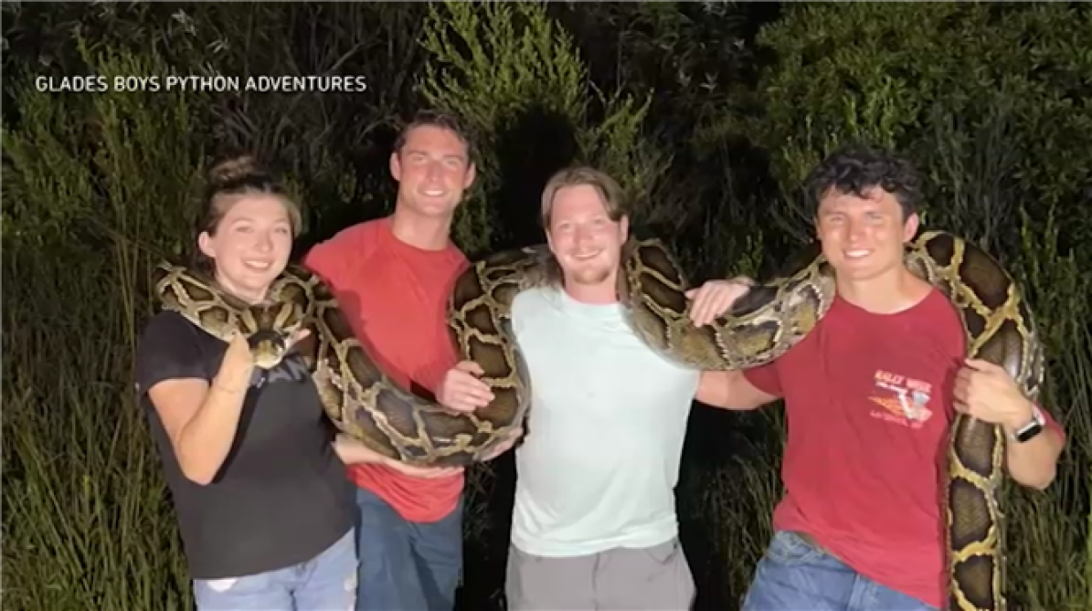 Un Américain se bat à main nue et capture le plus grand python jamais ...