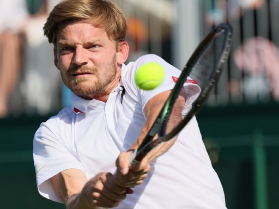 David Goffin passe à côté de l'exploit contre Carlos Alcaraz, l'Espagne ...