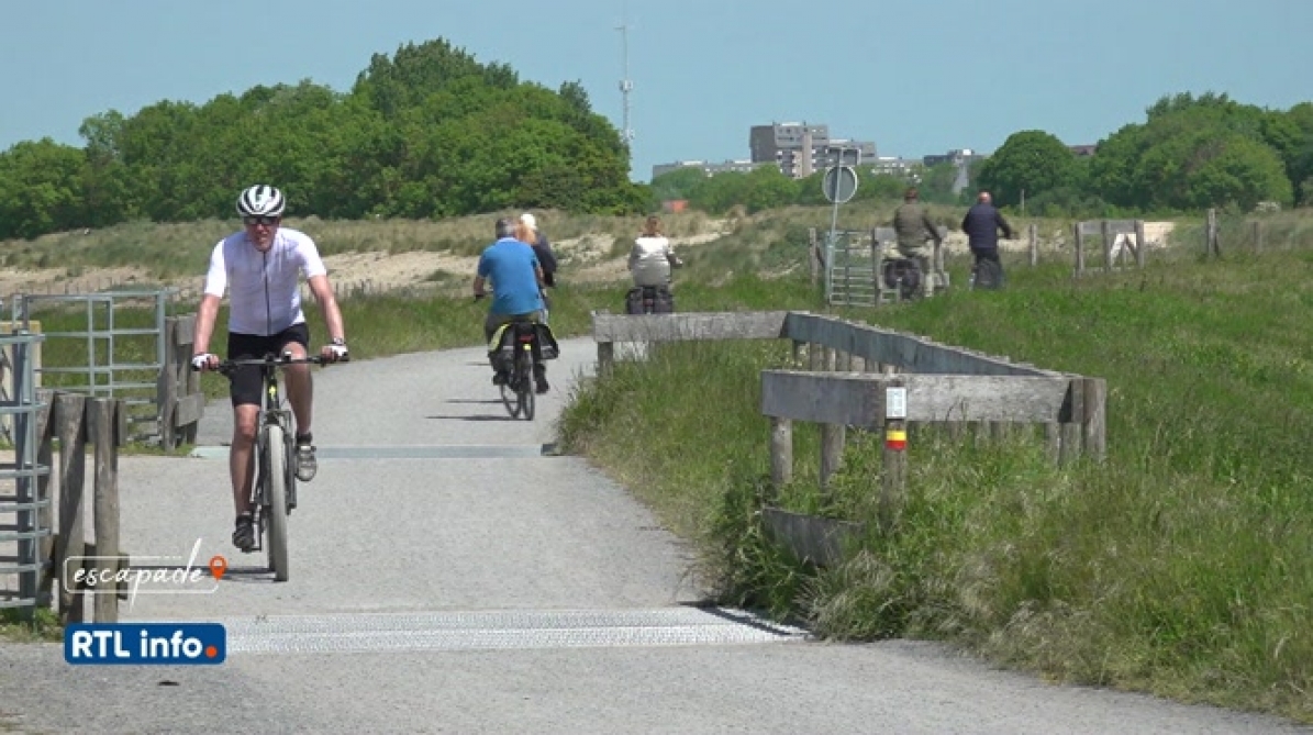 Escapade à vélo: visite de la réserve naturelle du Zwin | RTL Info