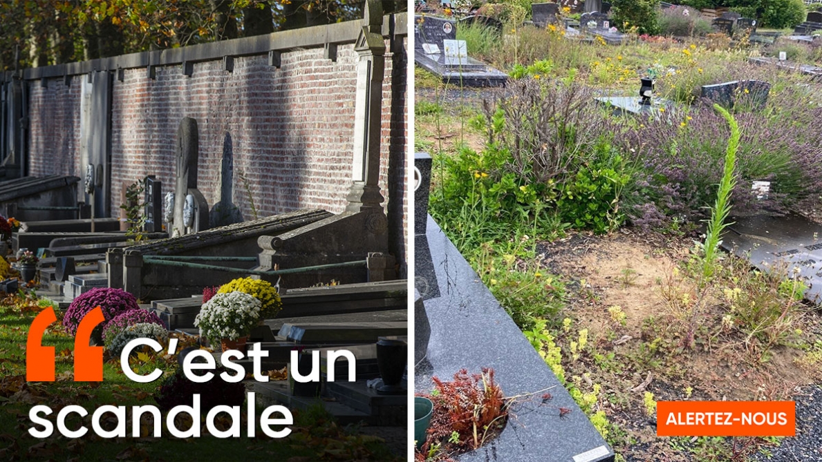 Revitalizing the Wemmel Cemetery: Addressing Neglect and Ensuring a ...