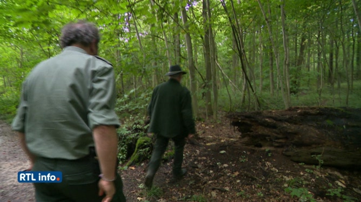 Désarmés, les gardes forestiers de la forêt de Soignes ne veulent plus ...