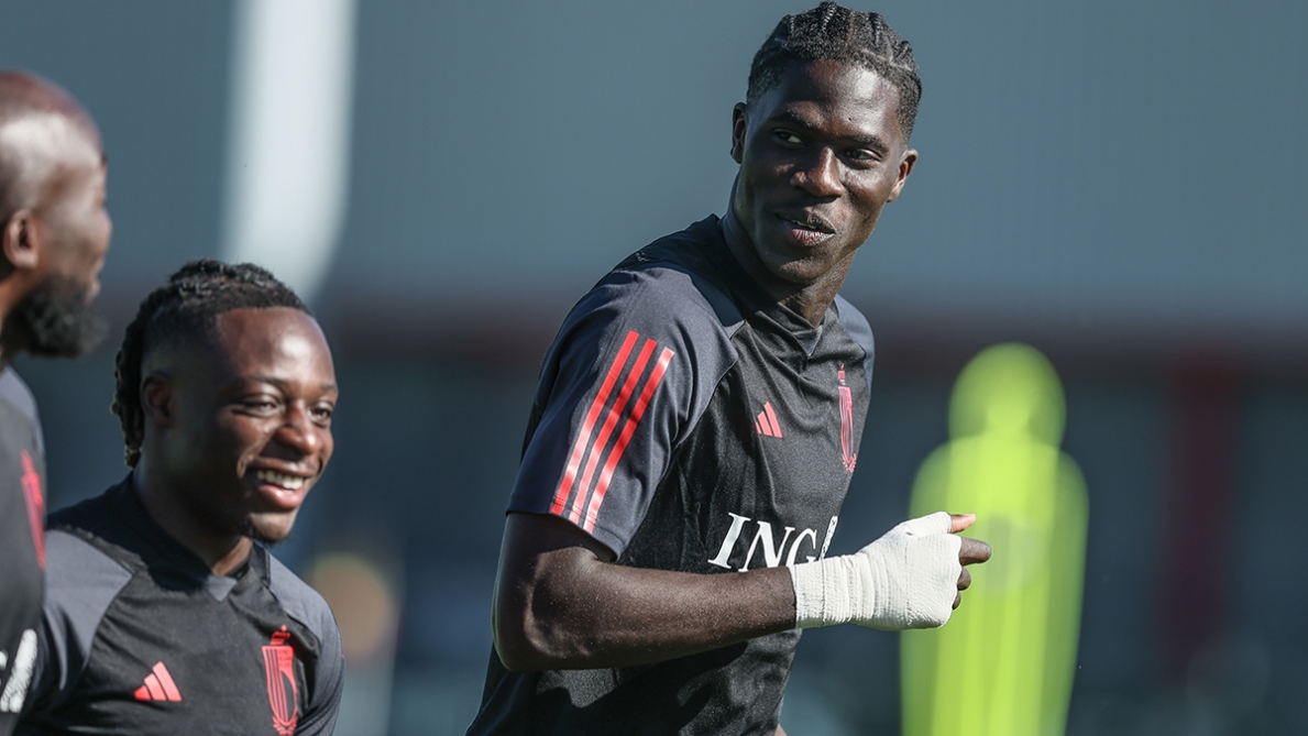 Tout roule chez les Diables Rouges: un seul absent ce matin, Aster ...