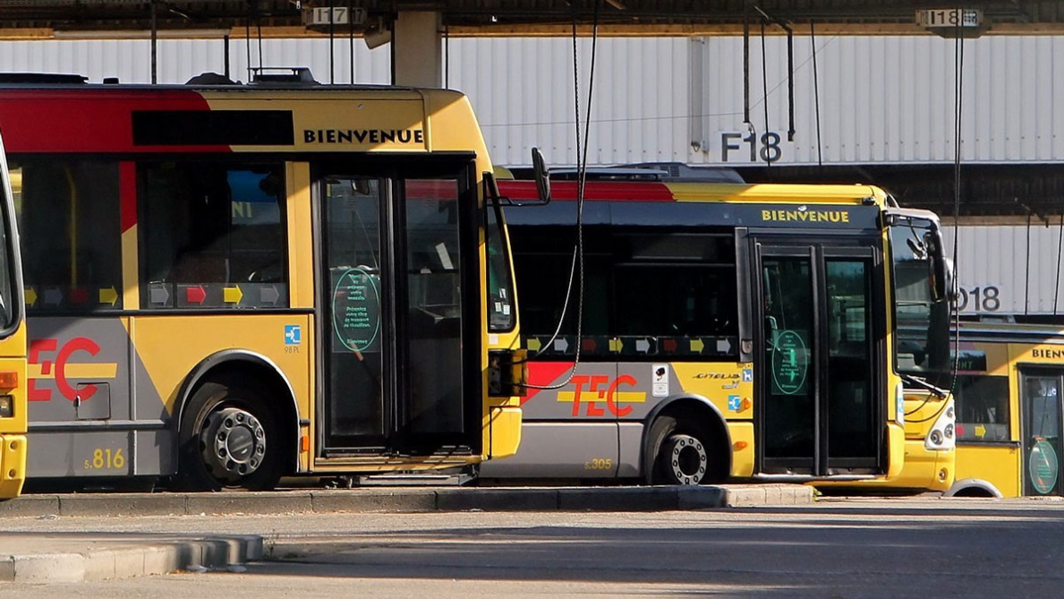 TEC Bus Strike: Driver Attacked and Network Disruption – Archyde
