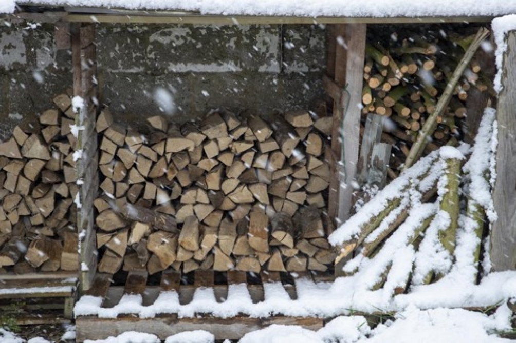 Fondante ou pas, la neige tombera | RTL Info