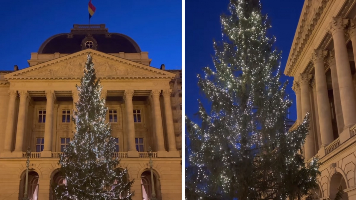 Christmas Tree Installation at Royal Palace: A Majestic and Beautiful ...