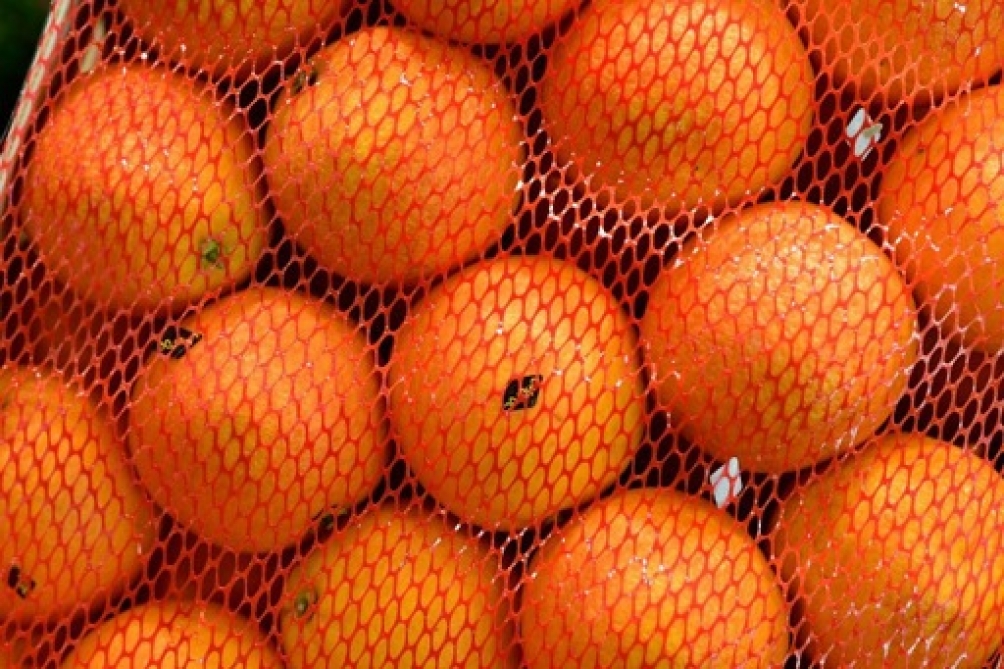 Lidl et la société Exsa rappellent des oranges pour cause de pesticide ...