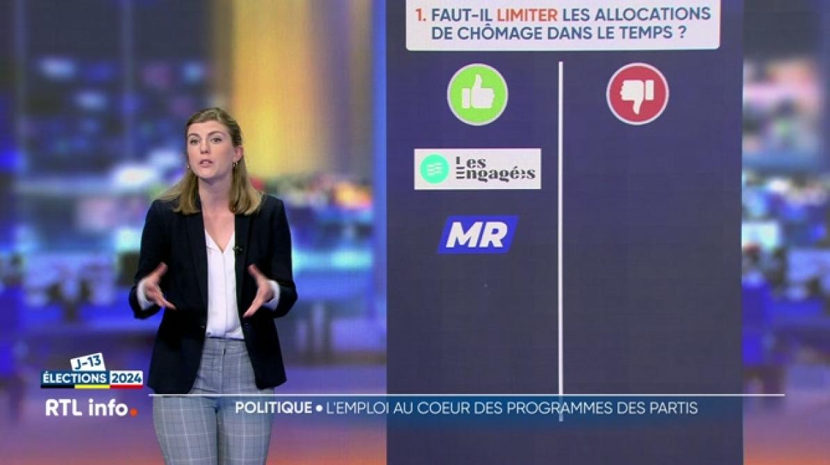 Elections 2024: focus sur les grands thèmes des partis politiques | RTL ...