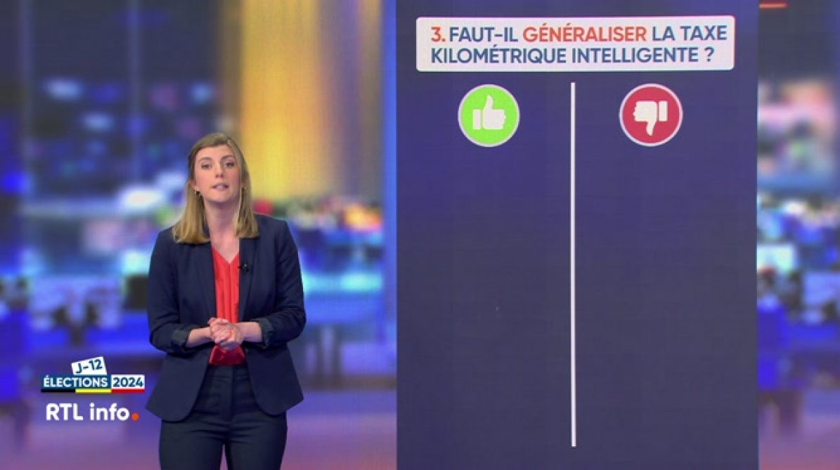 Elections 2024: focus sur les grands thèmes des partis politiques | RTL ...