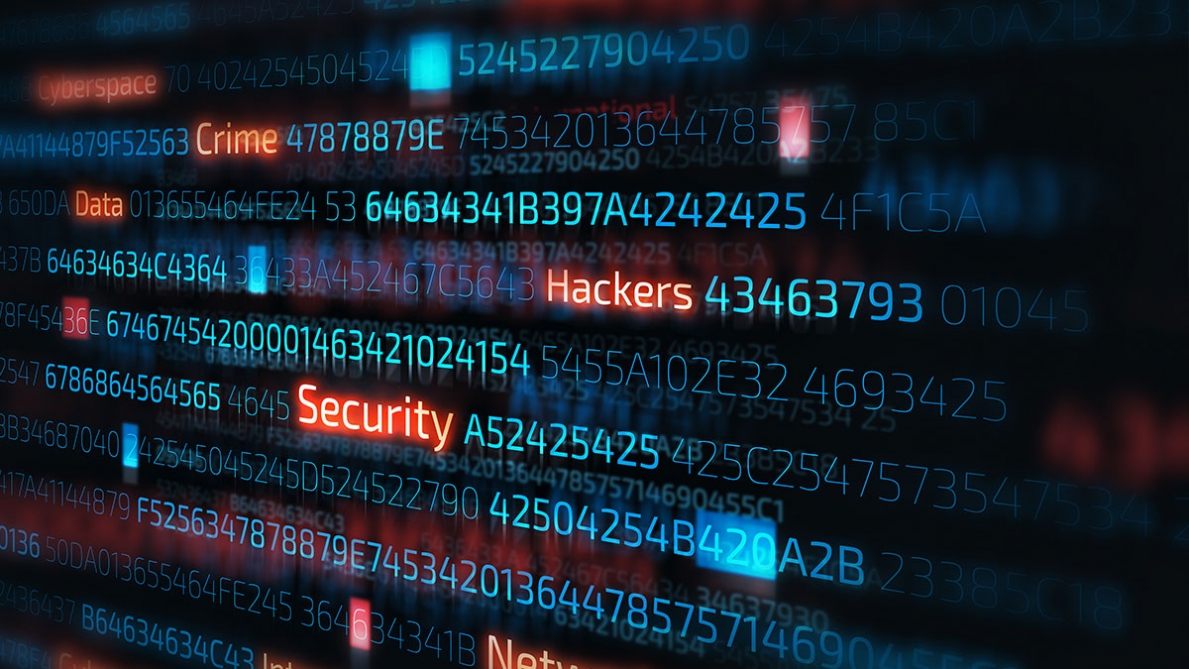 Les sites internet de plusieurs partis néerlandais attaqués par un ...