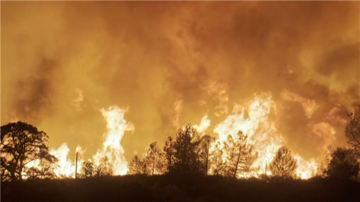 Incendie historique en Californie : le "Park Fire" dévore 350 000 ...