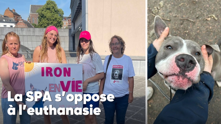 Talya, 8 ans, tuée par deux chiens: la maman donne ses conditions à la ...